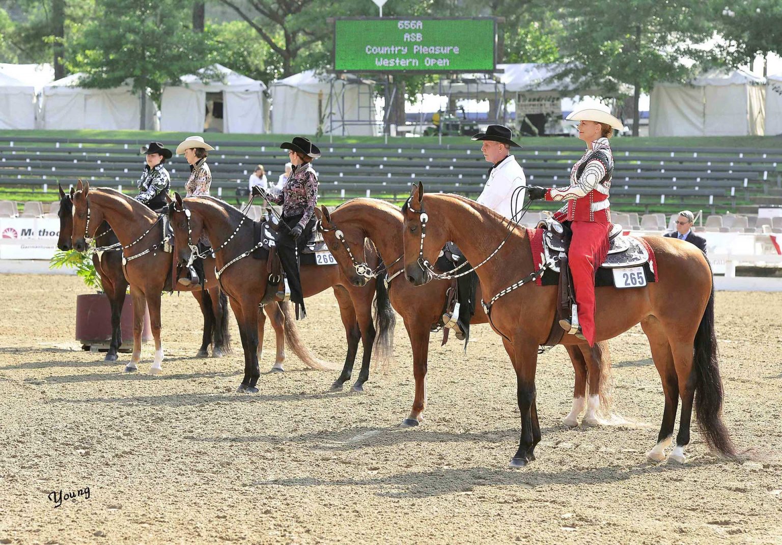 American Saddlebreds – Germantown Charity Horse Show