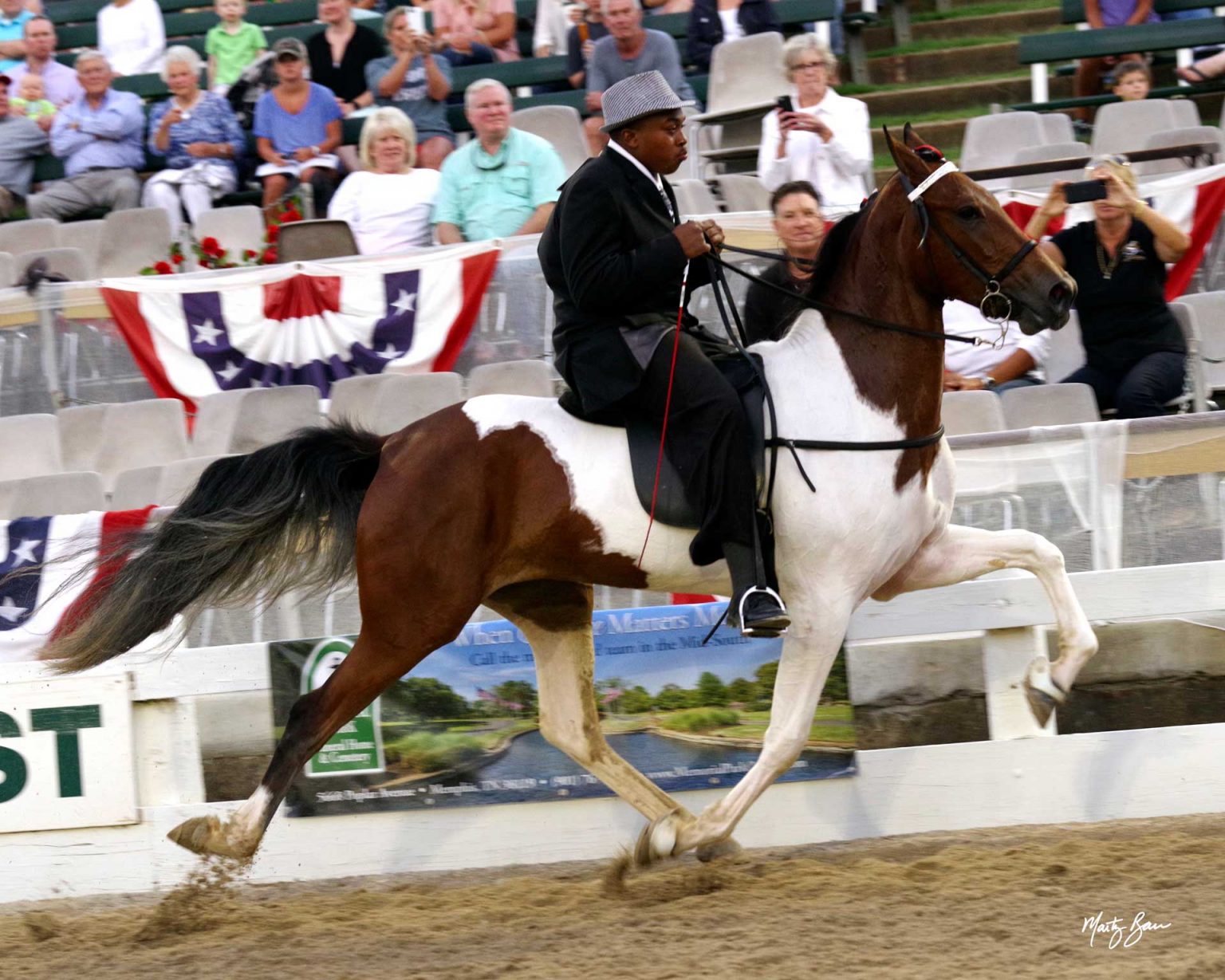 Flat Shod Racking Horses – Germantown Charity Horse Show